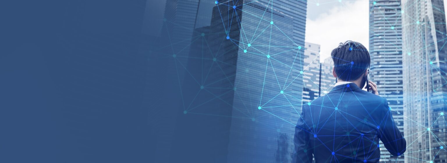 Independent Technology Advisors & Management Consultants